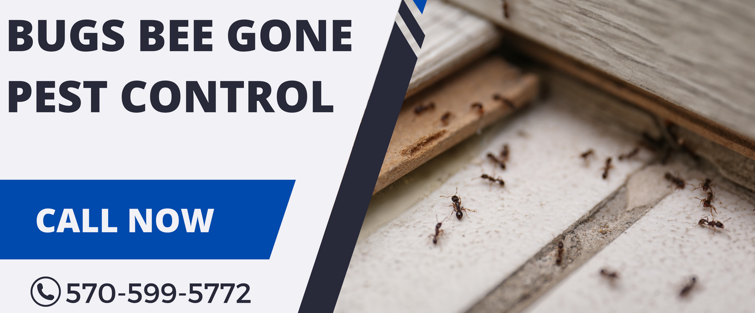 Bugs Bee Gone Pest Facts – Bugs Bee Gone Pest Control LLC