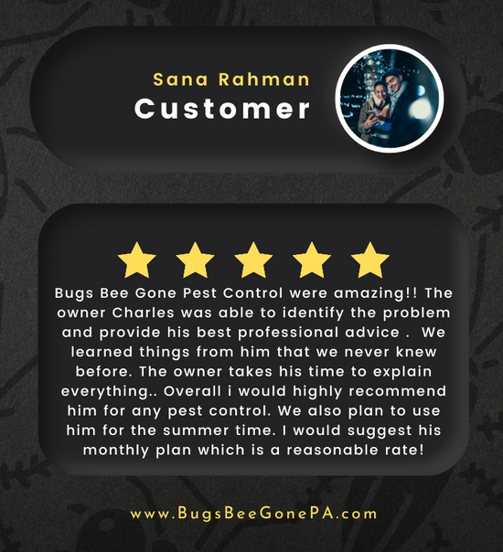 Bugs Bee Gone Pest Control – Bugs Bee Gone Pest Control LLC